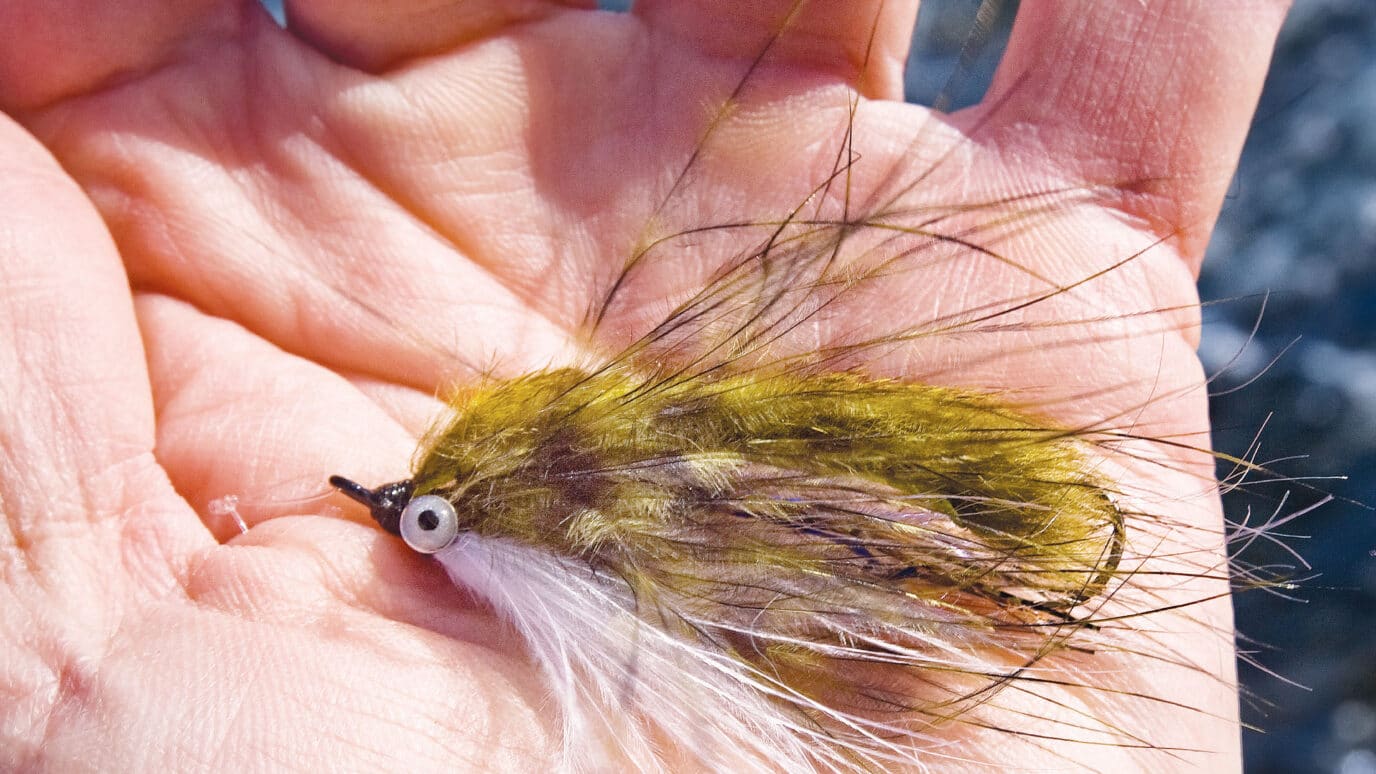 The Skwala Hatch - California Fly Fisher