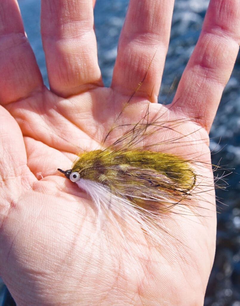 Chicken Bones - California Fly Fisher
