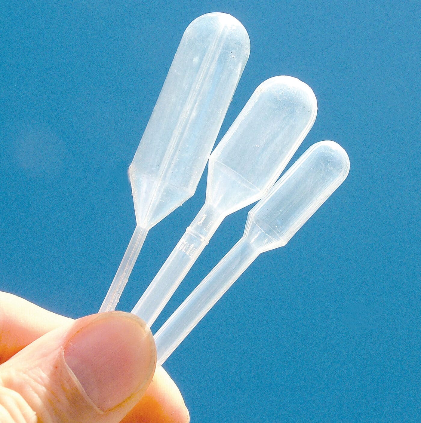 At the Vise: Adult Crane Fly - California Fly Fisher