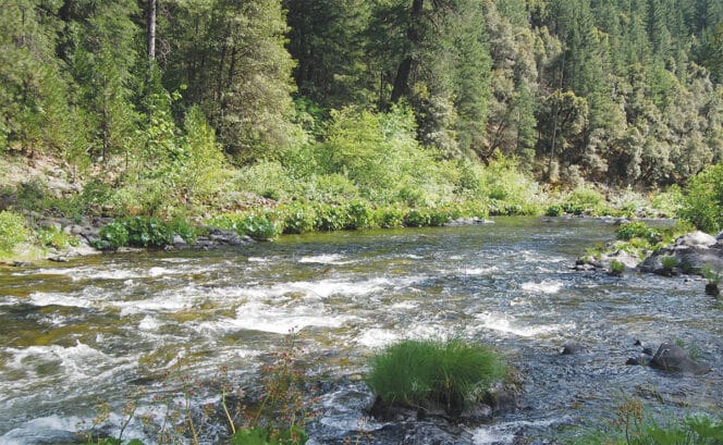 The Upper Sacramento: Where to Go and What to Expect - California Fly ...