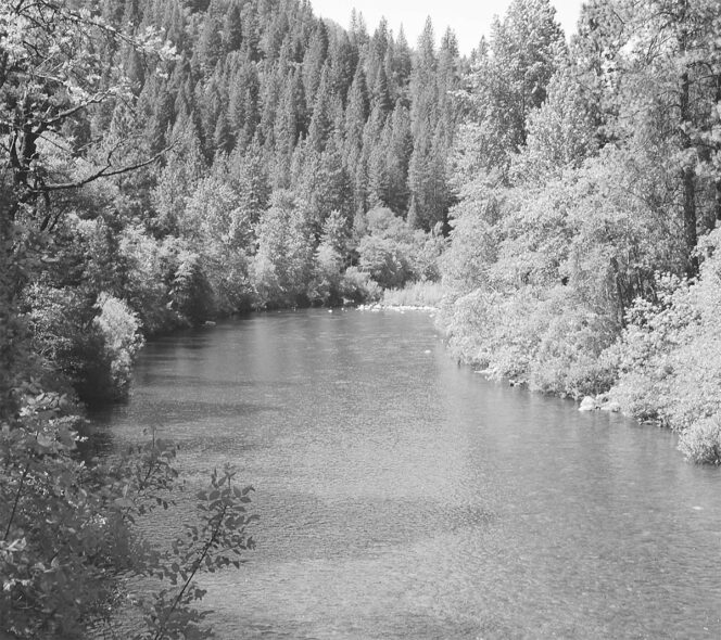 The Upper Sacramento: Where to Go and What to Expect - California Fly ...