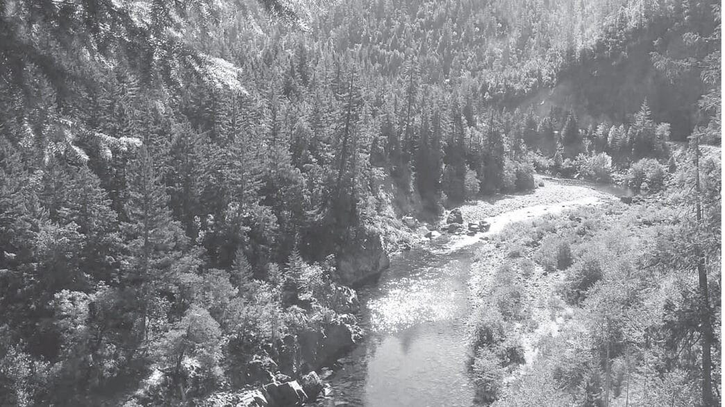 The Good Fight: A Conversation with CDFW’s Charlton “Chuck” Bonham ...