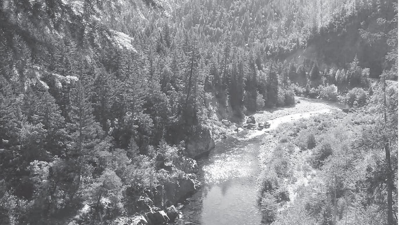 The Good Fight: A Conversation with CDFW’s Charlton “Chuck” Bonham ...