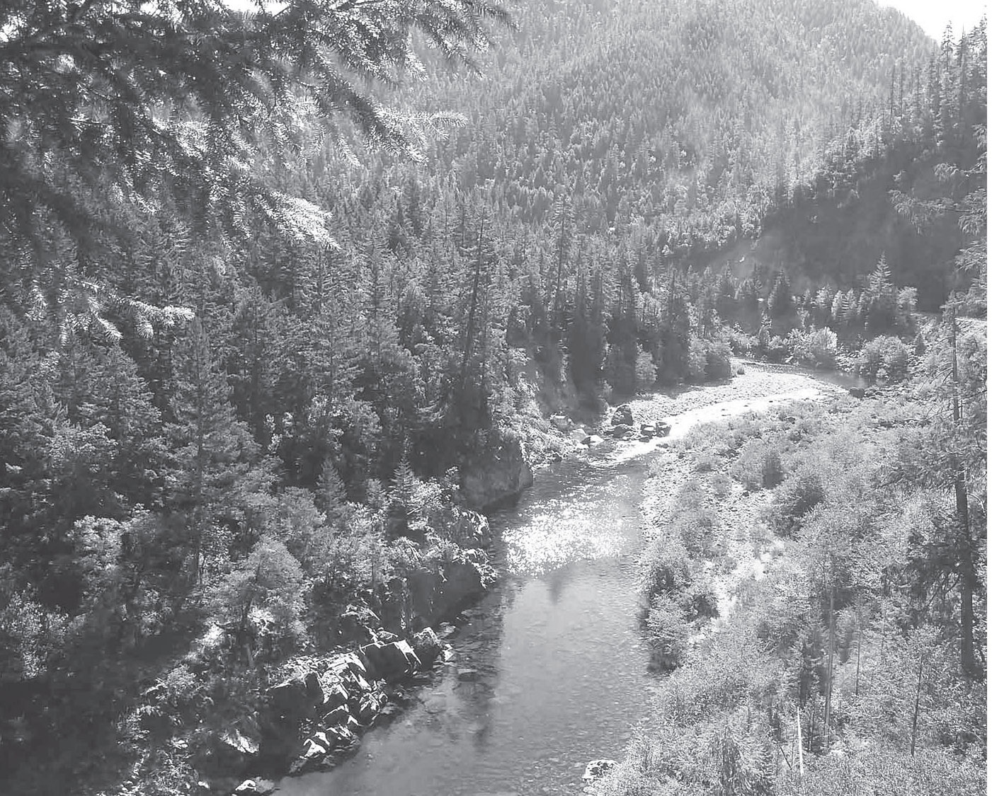 The Good Fight: A Conversation with CDFW’s Charlton “Chuck” Bonham ...