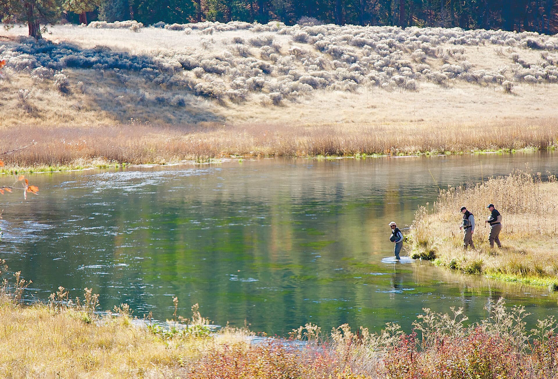 Water Music - California Fly Fisher