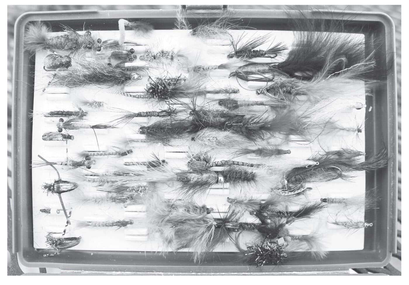 At the Vise: Anadromous Stone - California Fly Fisher