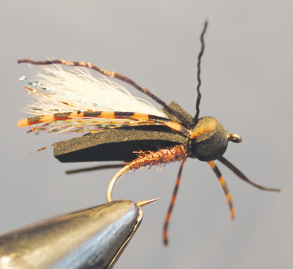 Hooking Your First Sight-Cast Corbina - California Fly Fisher