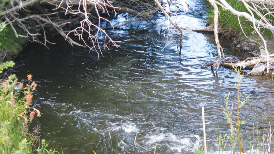 The Good Fight: A Conversation with CDFW’s Charlton “Chuck” Bonham ...