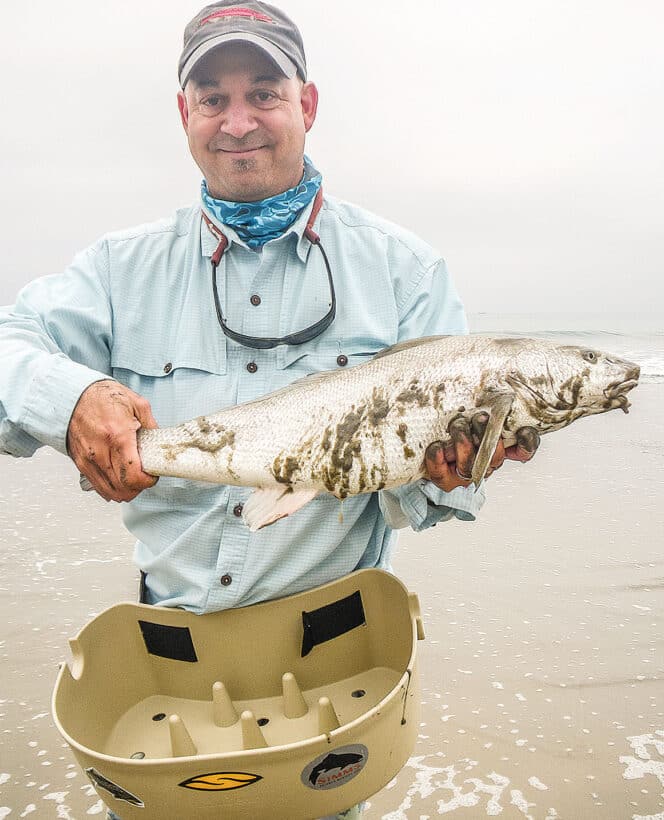 Hooking Your First Sight-Cast Corbina - California Fly Fisher