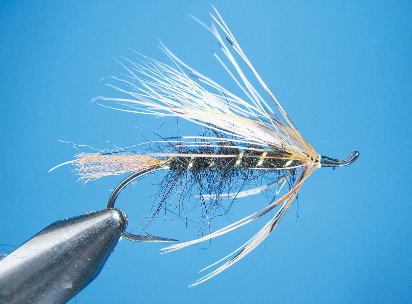 The Stillwater Fly Fisher: Switching from Trout to Bass - California ...