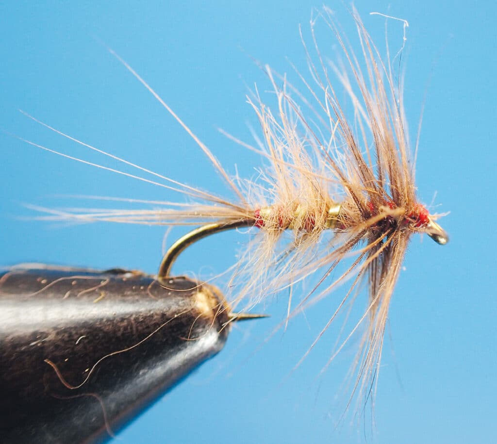 The Bloody Maria Shad Fly - California Fly Fisher