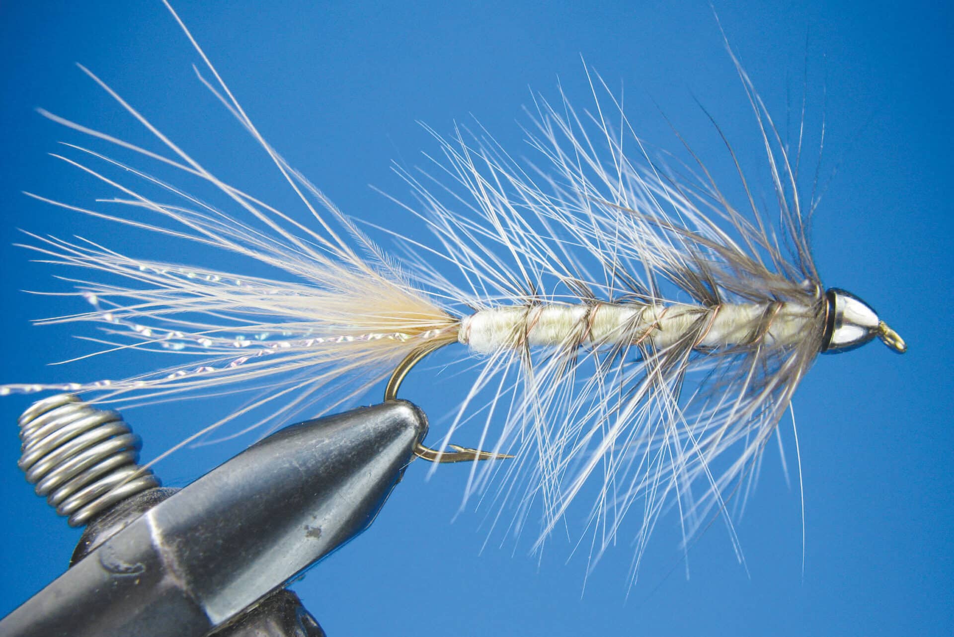Not a Beginner’s Guide to Fishing the Surf - California Fly Fisher