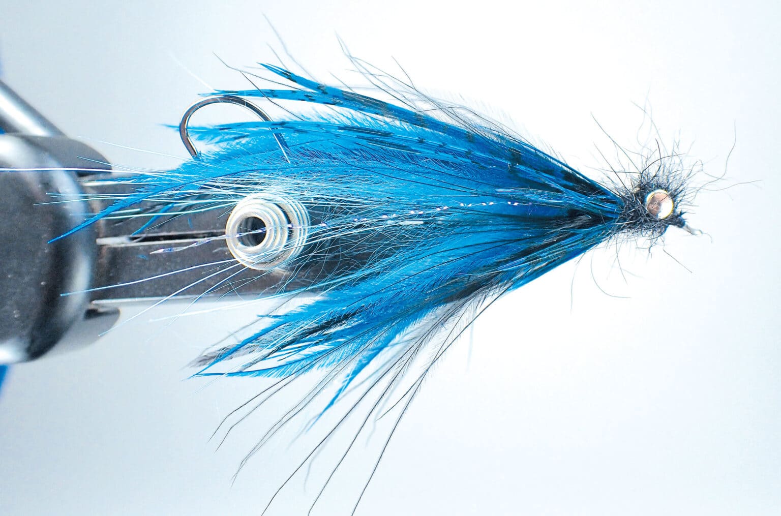 Tips for Carp - California Fly Fisher