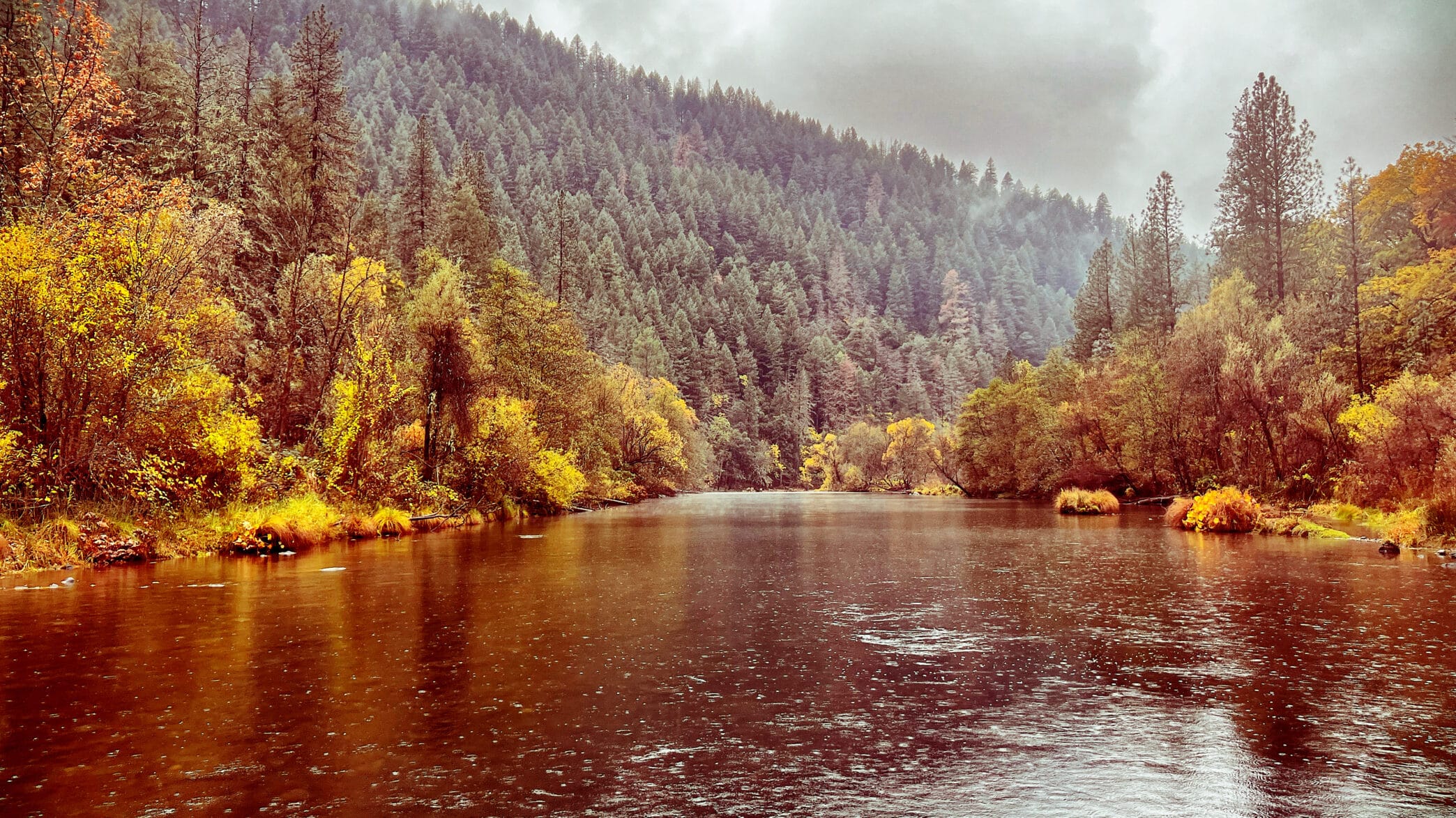 California Fly Fisher - The Magazine for Fly Fishing in California