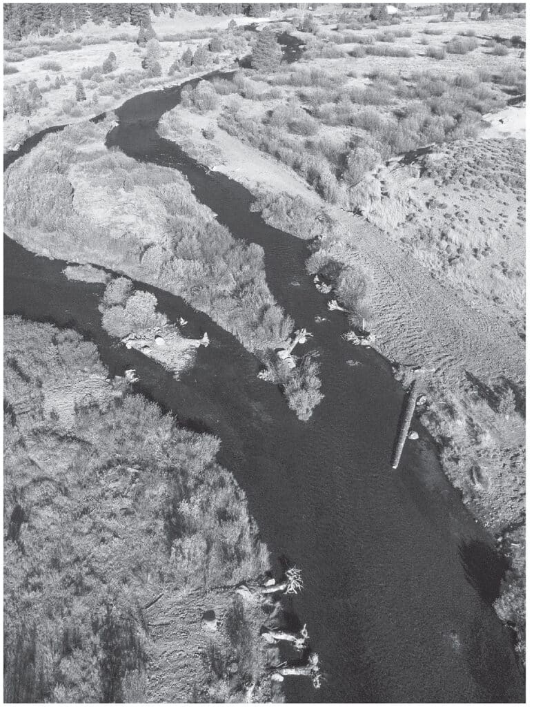 The Good Fight: SoCal Steelhead - California Fly Fisher