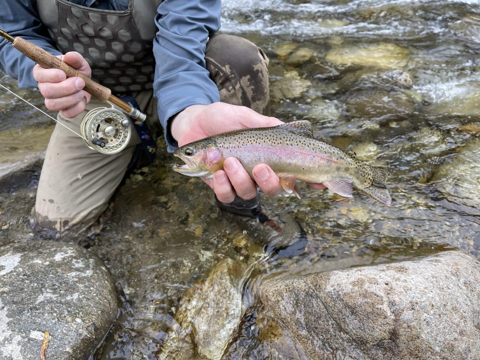The Many Faces of Piru Creek - California Fly Fisher