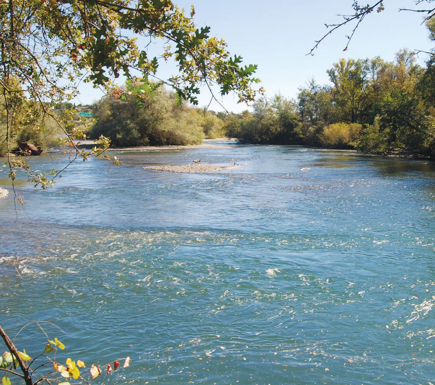 Wading the Lower Sacramento River - California Fly Fisher