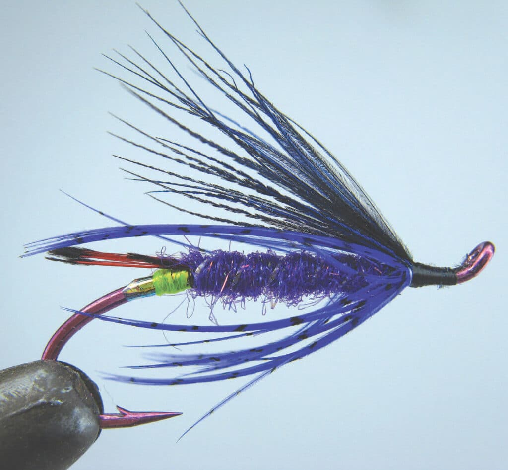 Baja: Loreto - California Fly Fisher