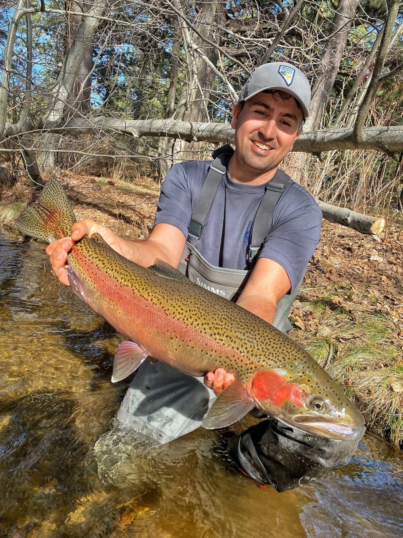 Lahontan Cutthroat Trout - California Fly Fisher
