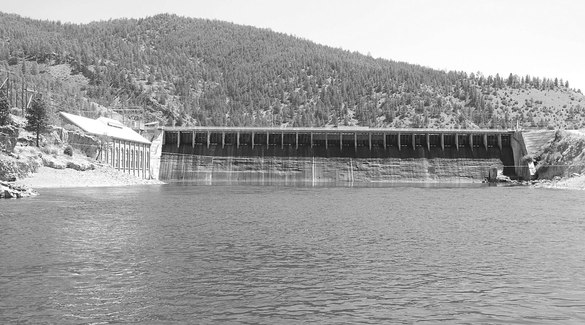 Stillwater Strategies and Techniques: A Primer - California Fly Fisher