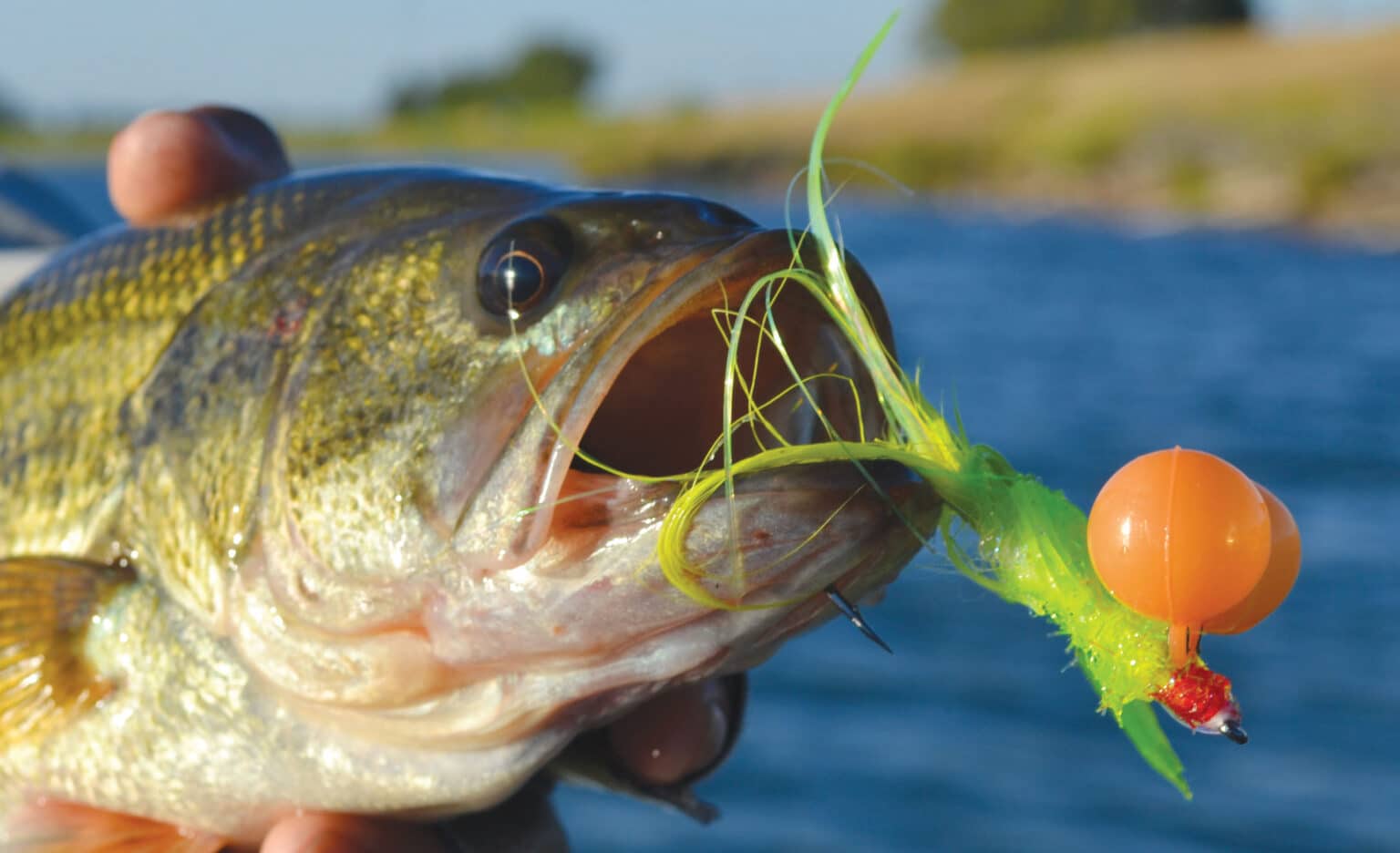 Both Sides Now - California Fly Fisher