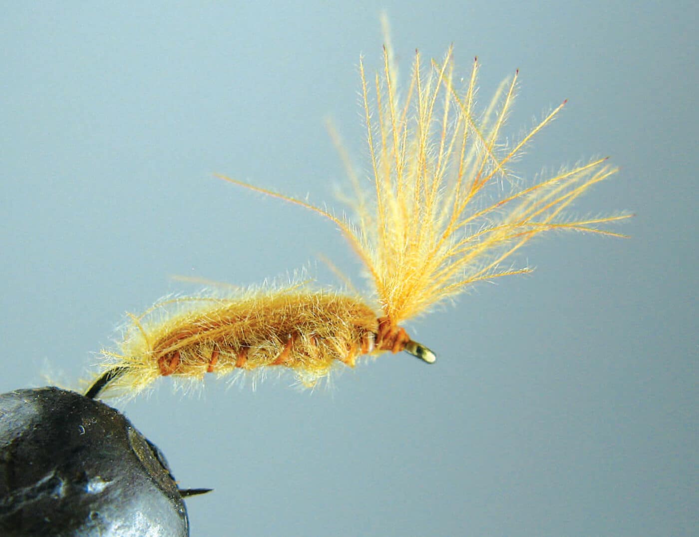 Catching Trout Off Guard - California Fly Fisher