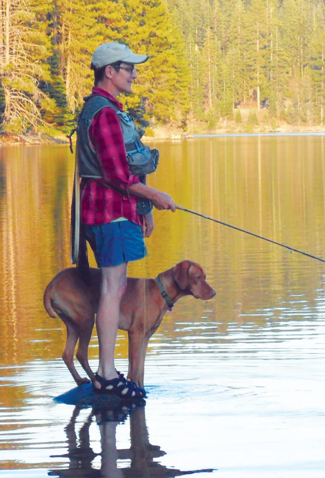 The Comet-Hilton Corollary - California Fly Fisher