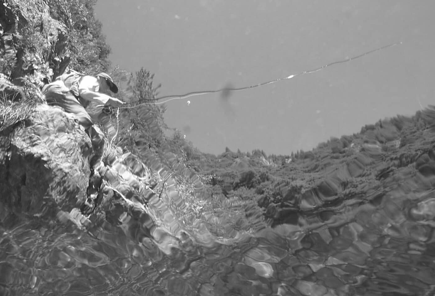 Microstreamer Magic - California Fly Fisher