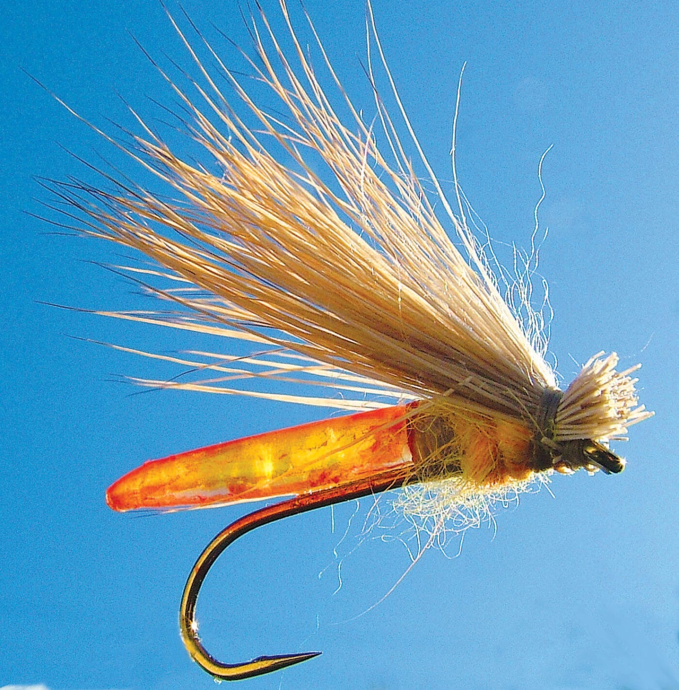 The Warmwater Fly Fisher: Prelude to the Spawn - California Fly Fisher