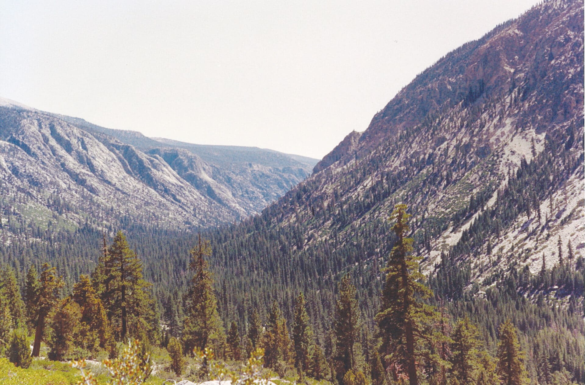 Jenks Lake - California Fly Fisher