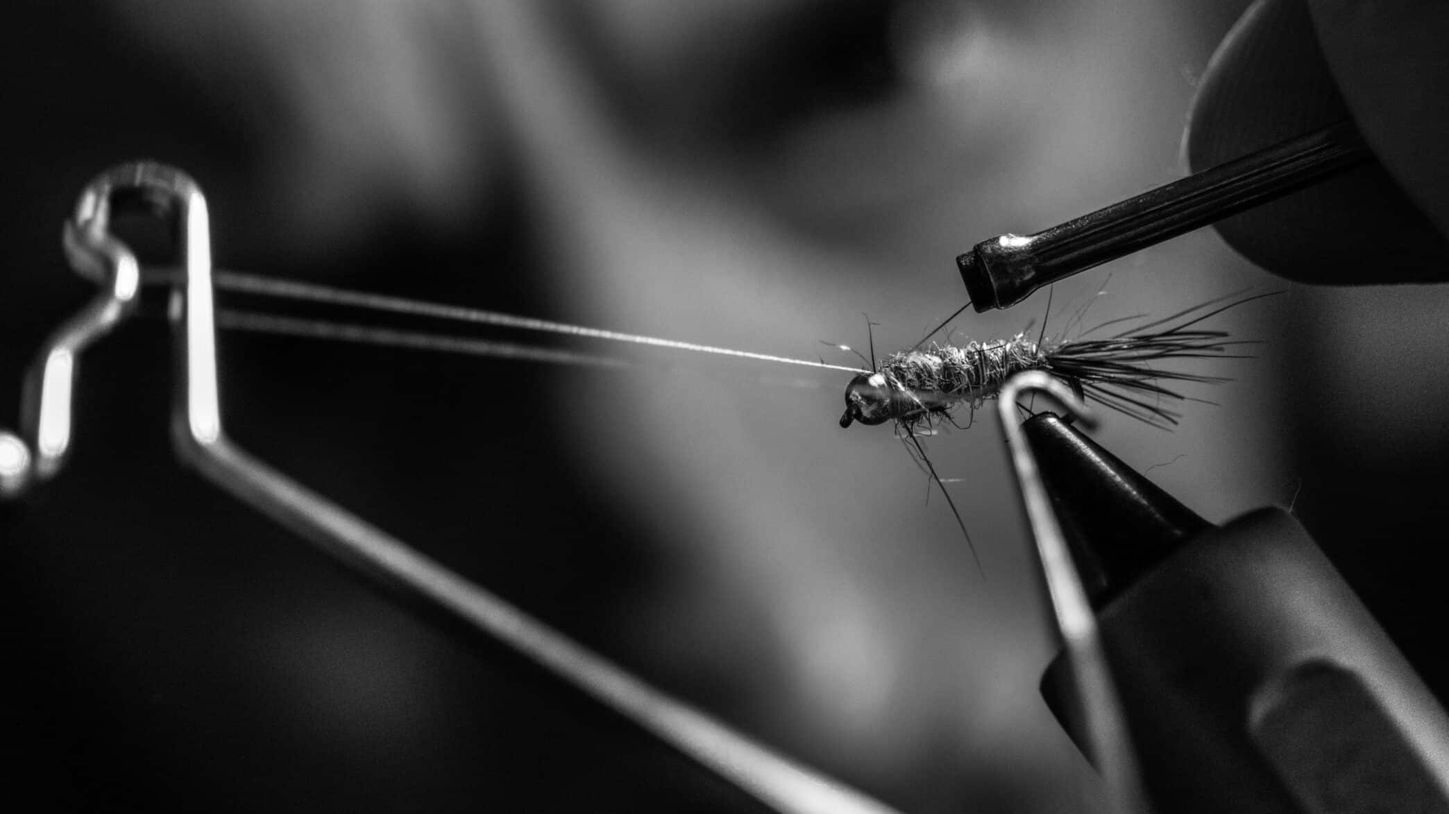 Catchy Ideas: Fishy Behavior - California Fly Fisher