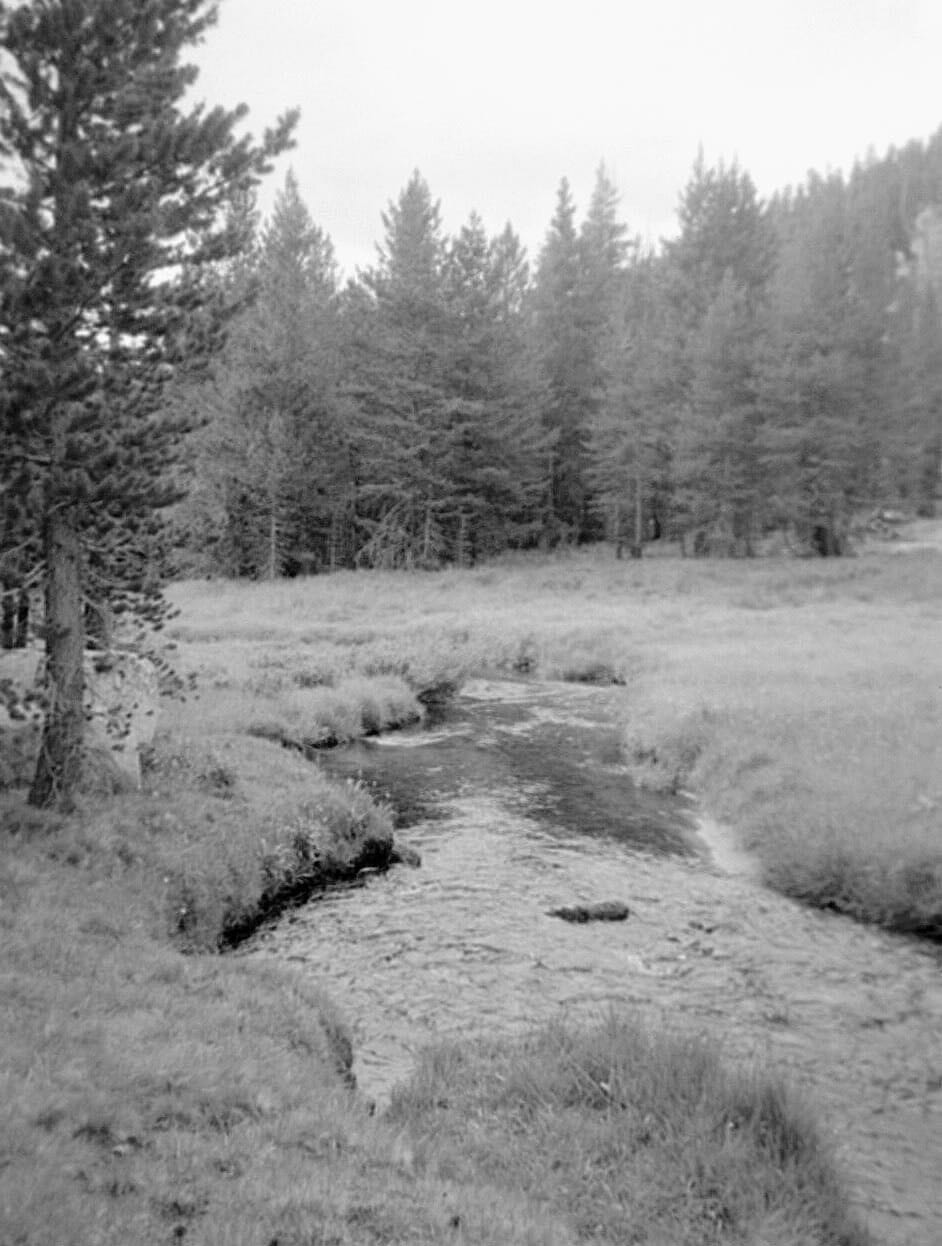 Crabtree Meadows - California Fly Fisher