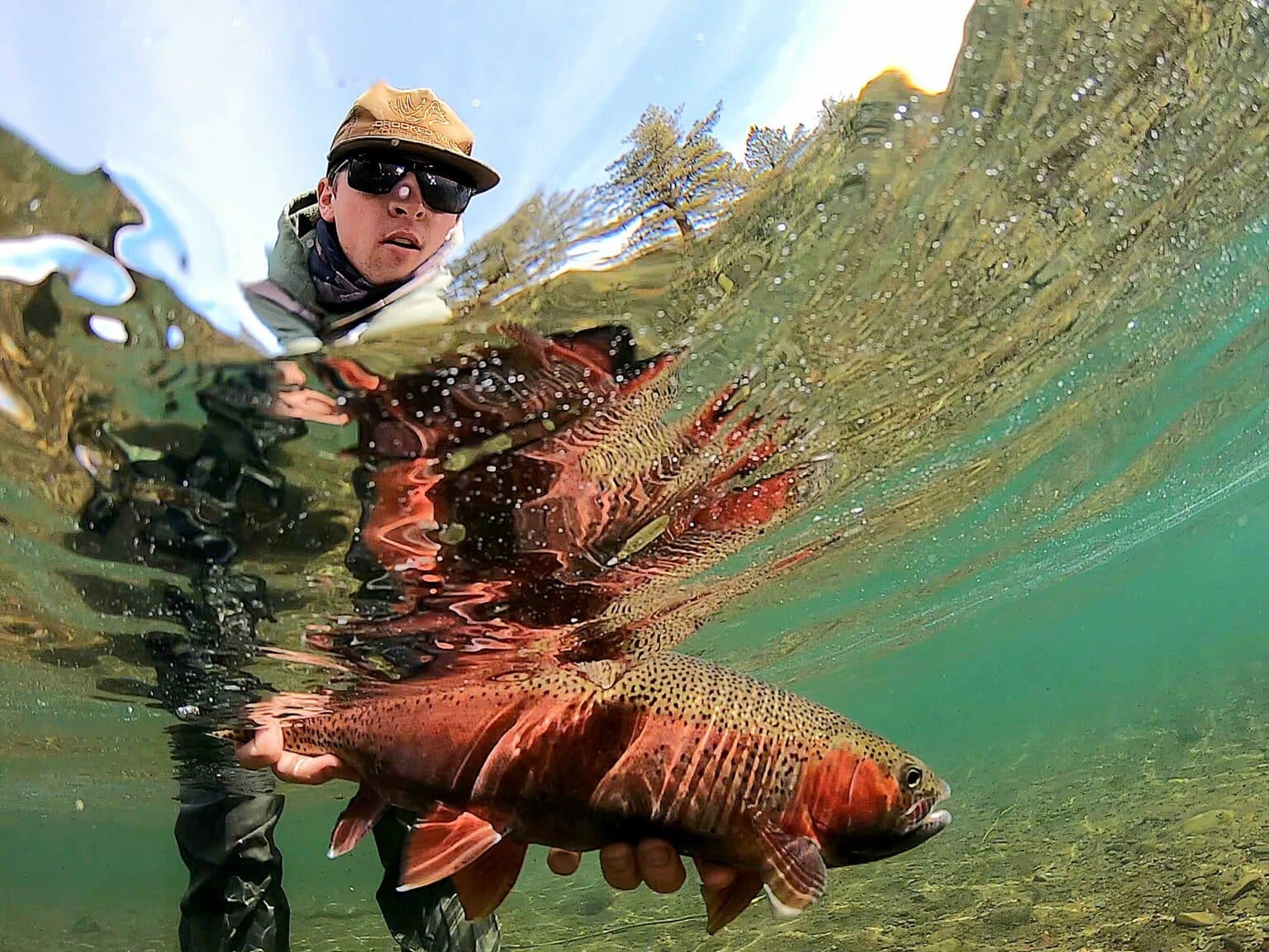 California Fly Fisher - The Magazine for Fly Fishing in California