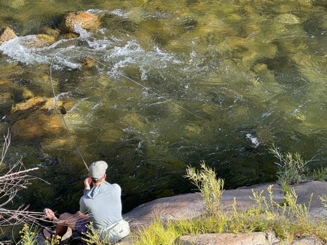 Spotlight Destination: The Forks of Kern - California Fly Fisher