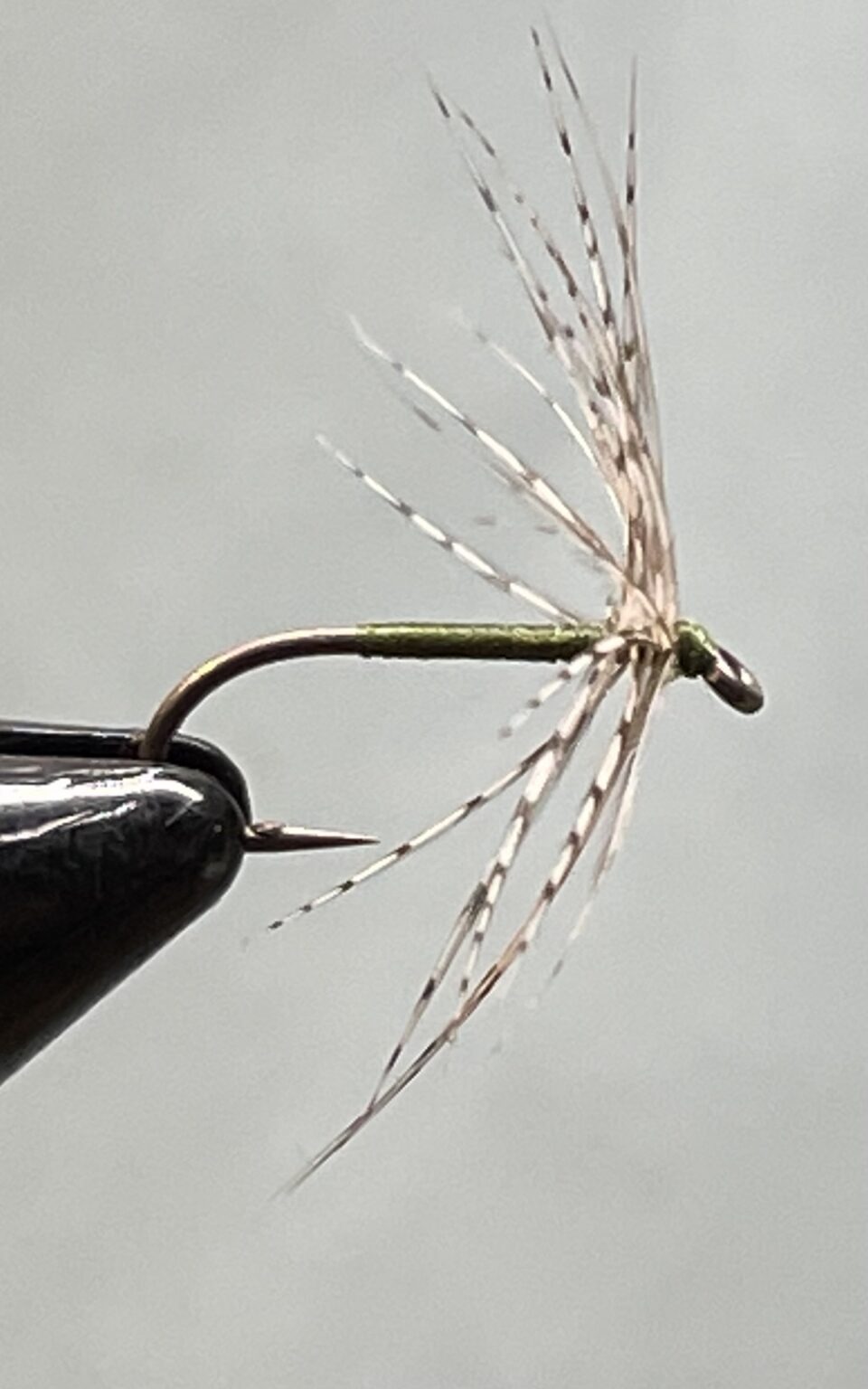 Fishing and Tying Soft Hackles and Traditional Wet Flies - California ...