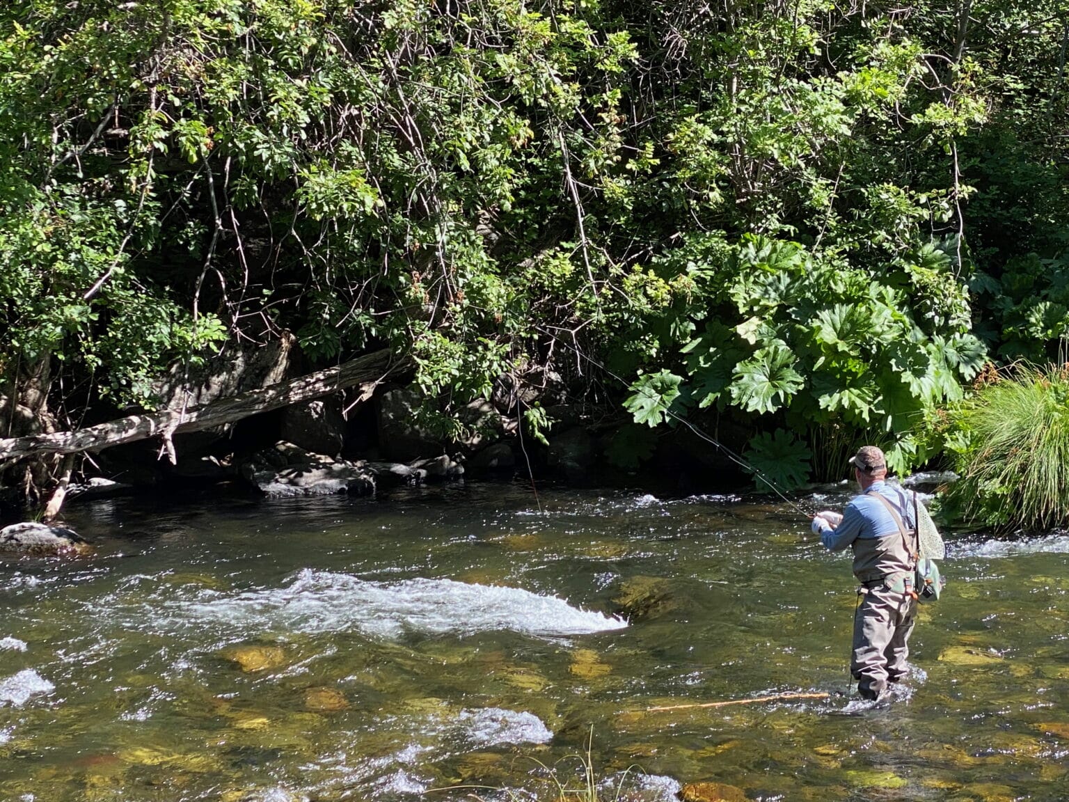 Surf Fishing 101 - California Fly Fisher