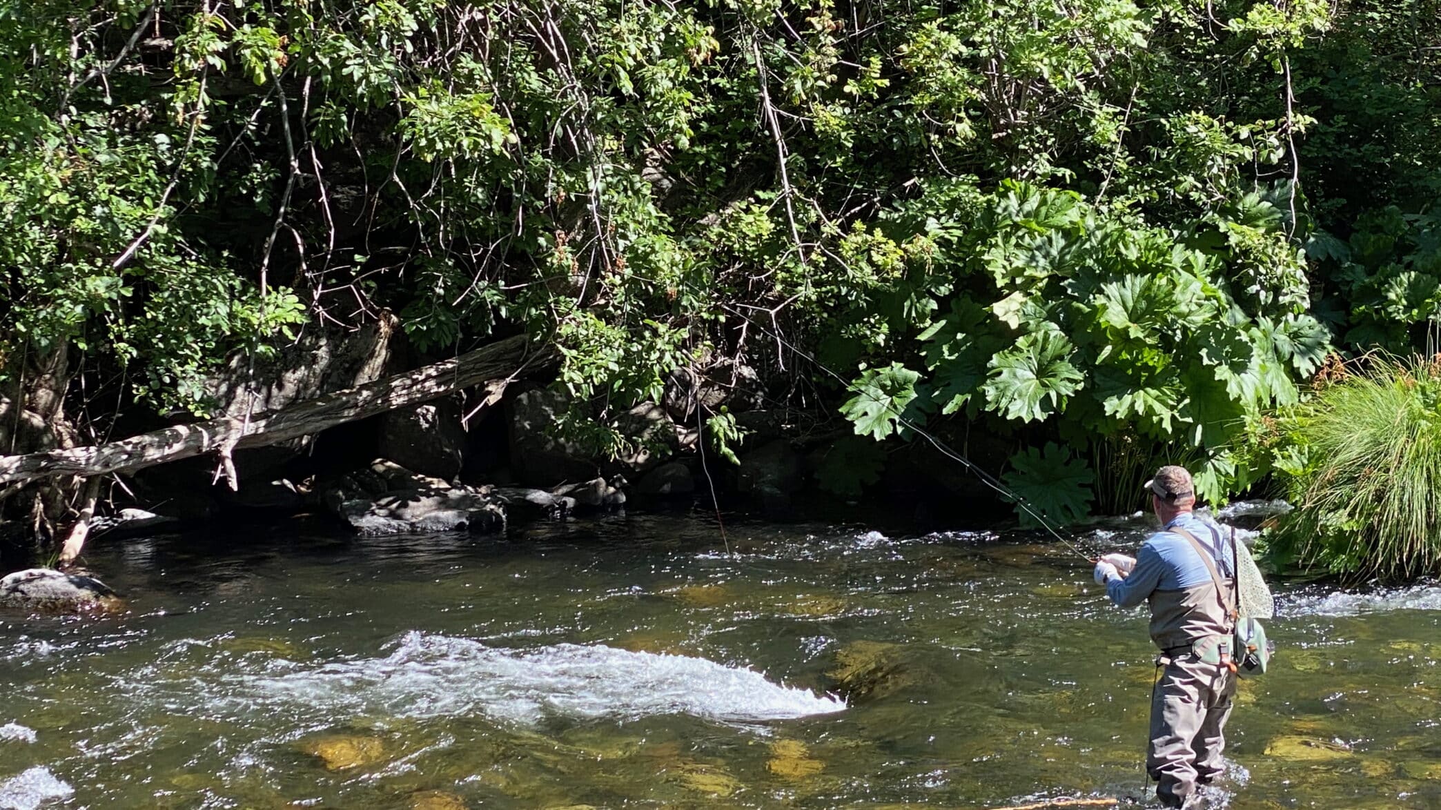 Surf Fishing 101 - California Fly Fisher