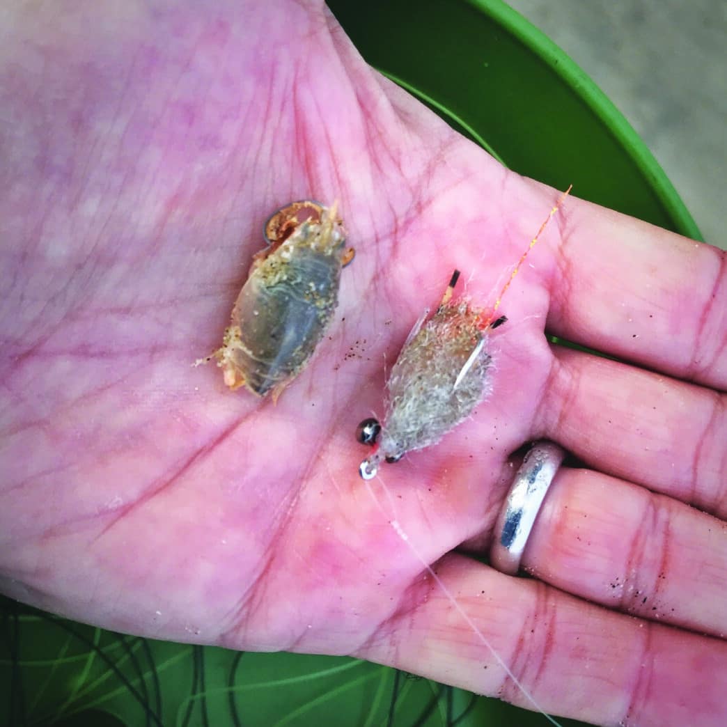 Urban Wild: Fly Fishing in the Heart of L.A. - California Fly Fisher