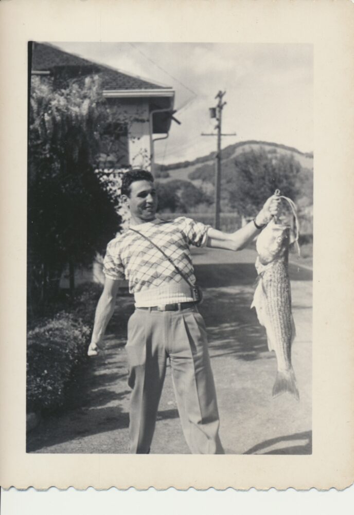 The Saga of California Striped Bass - California Fly Fisher