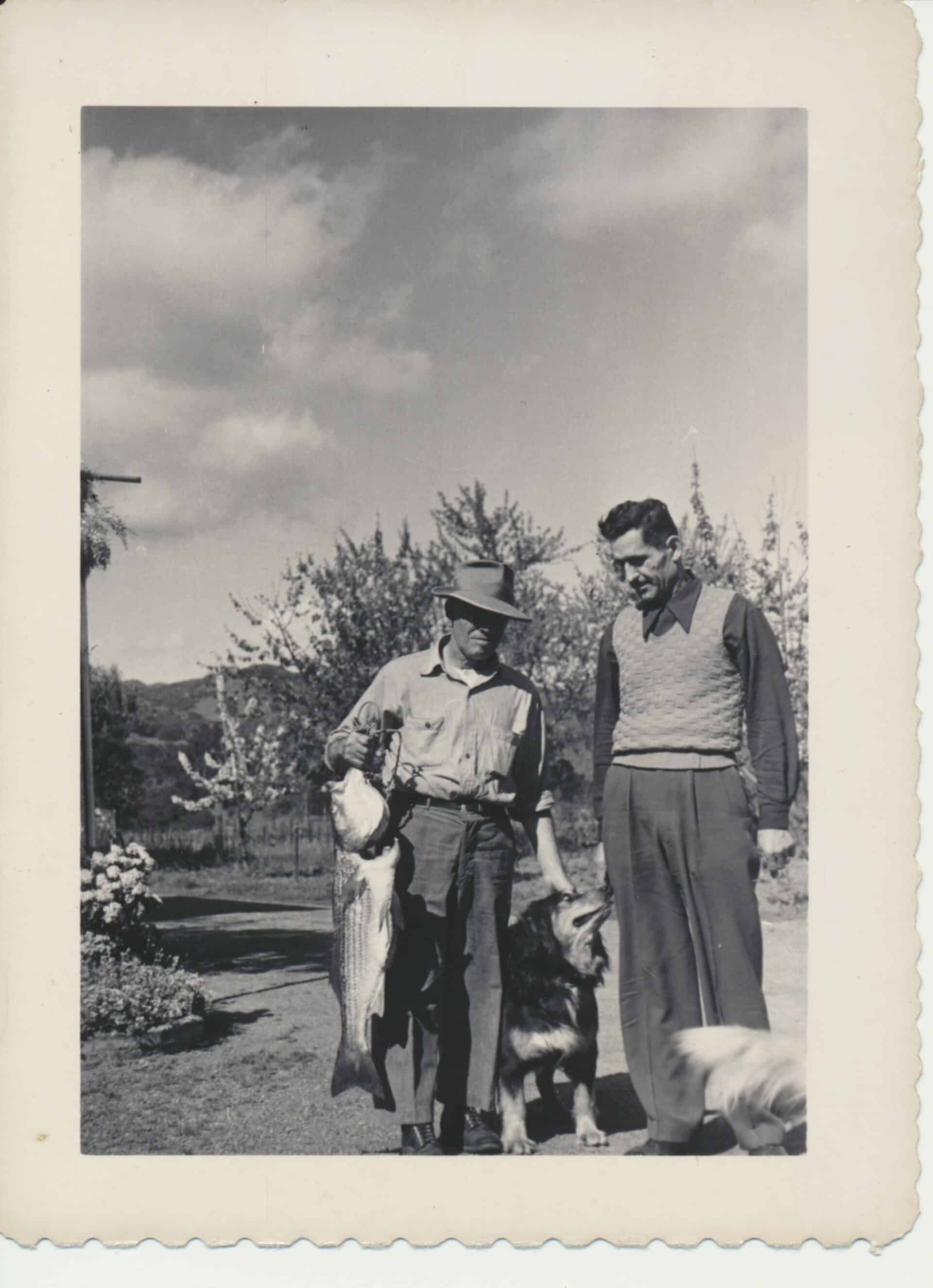 The Saga of California Striped Bass - California Fly Fisher
