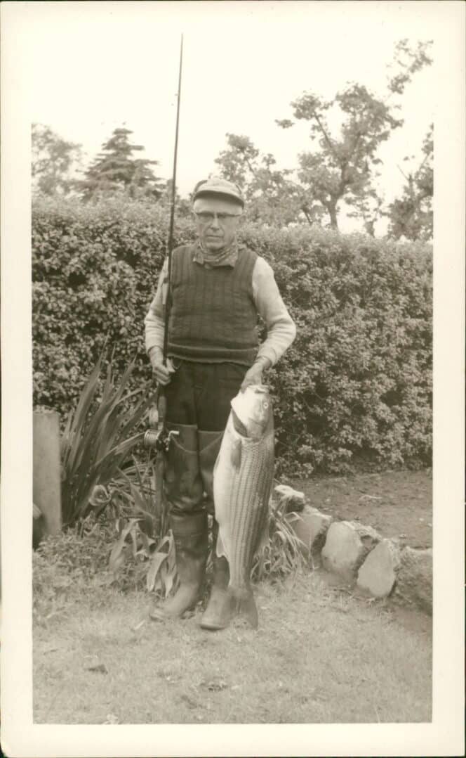 The Saga of California Striped Bass - California Fly Fisher